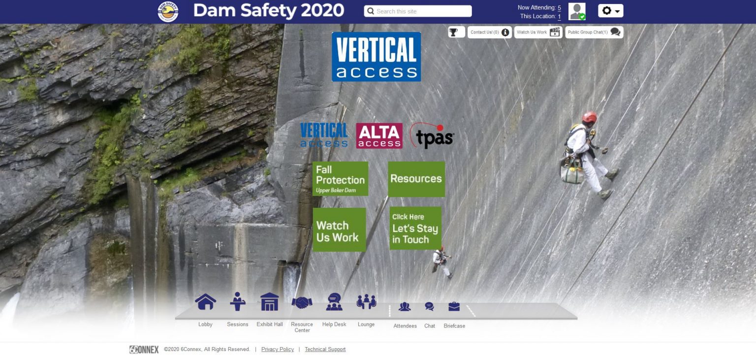 Professional Development and Networking in a Virtual World: My ...